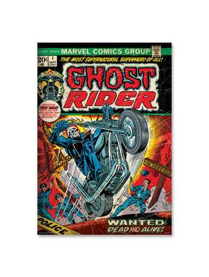 Buy online Ghost Rider - Wanted Poster (officially Licensed) from Decor ...