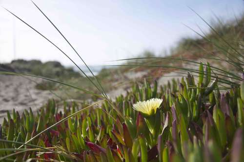 Buy online Bhhhhh from western wear for Women by Inmycity for ₹5555 at ...